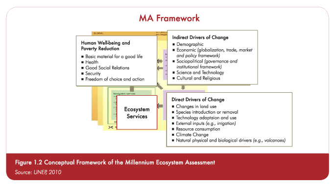 figure 1 . 2 conceptual framework of the millennium ecosystem assessment